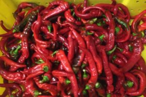 Organic Red Rocket Cayenne Peppers – Cottingham Farm